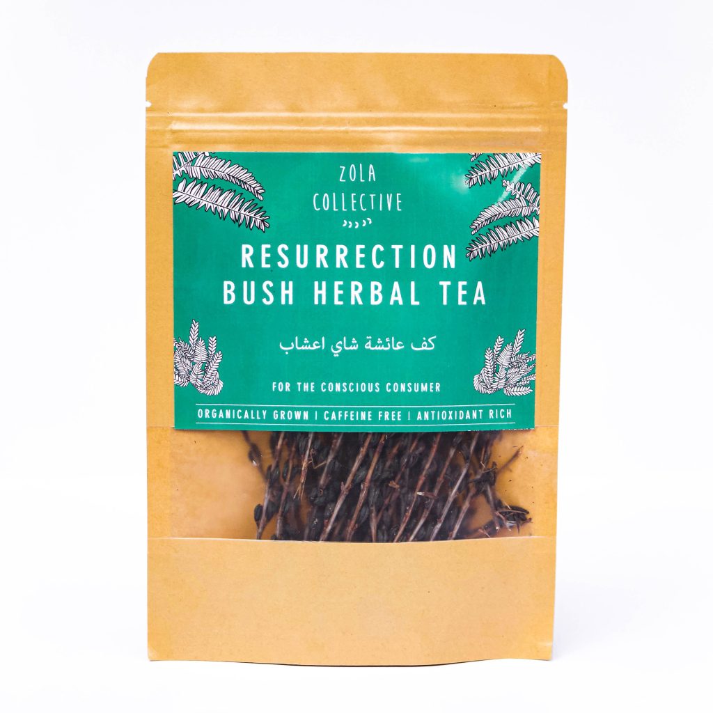 Resurrection Bush Tea – Nabta Health